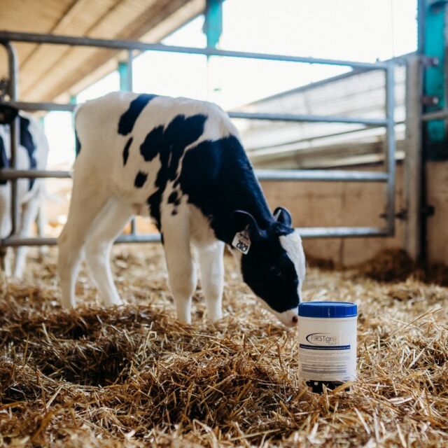 Contact Us - Grober Nutrition