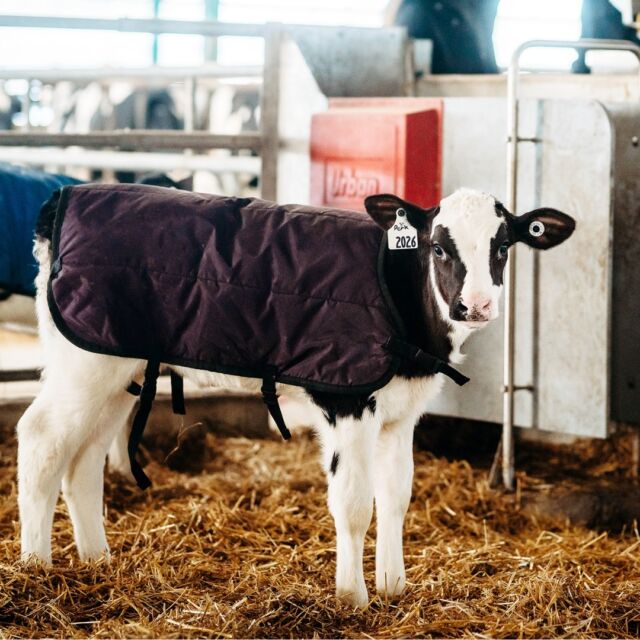 Contact Us - Grober Nutrition